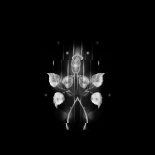 MARA – PURPLE ROSE (REMASTER) – NFWSON